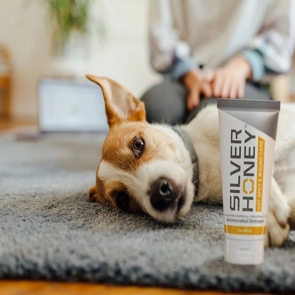 Absorbine Silver Honey Salva - 56 g | Köp på Brogaarden.se