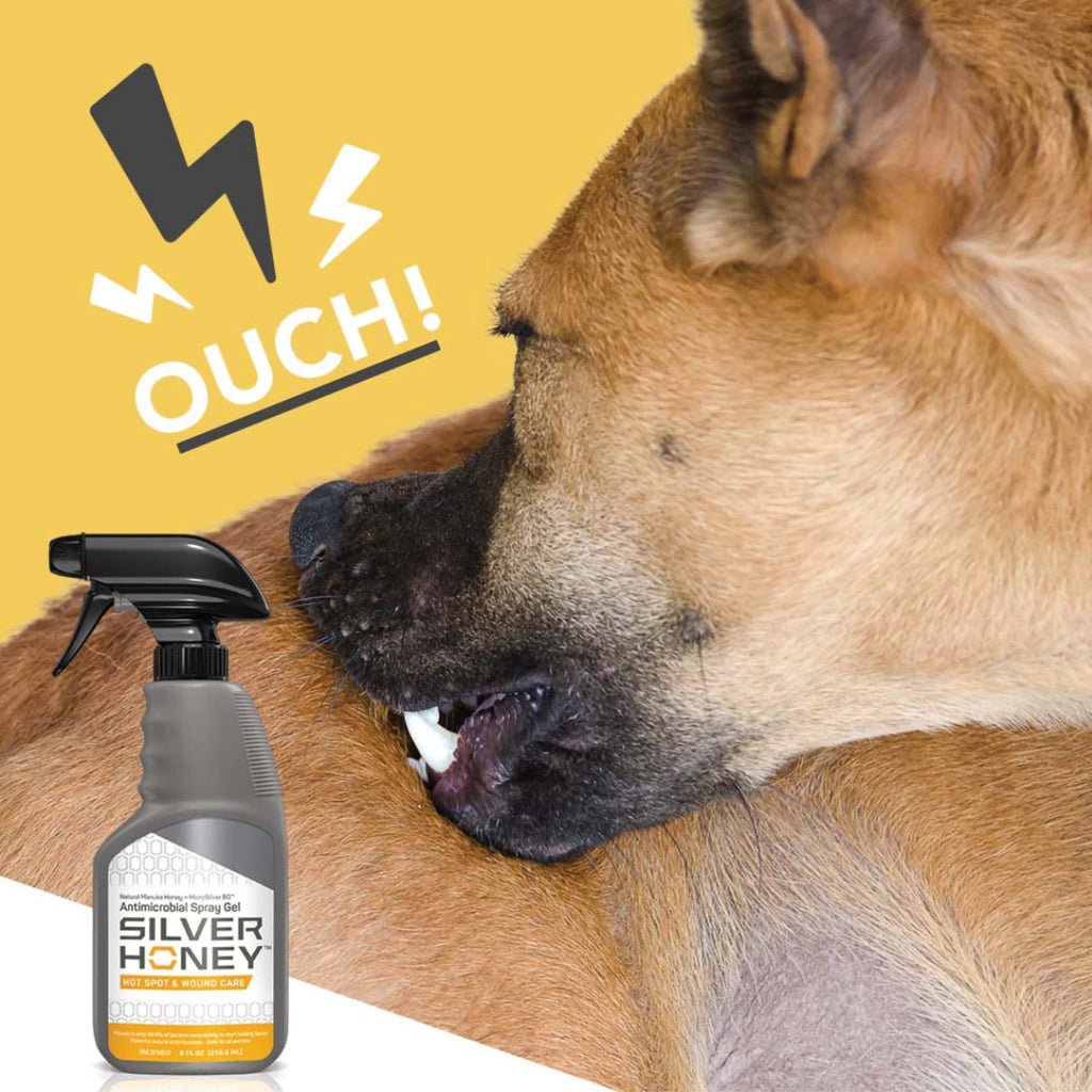 Absorbine Silver Honey Spray - 236 ml | Köp på Brogaarden.se